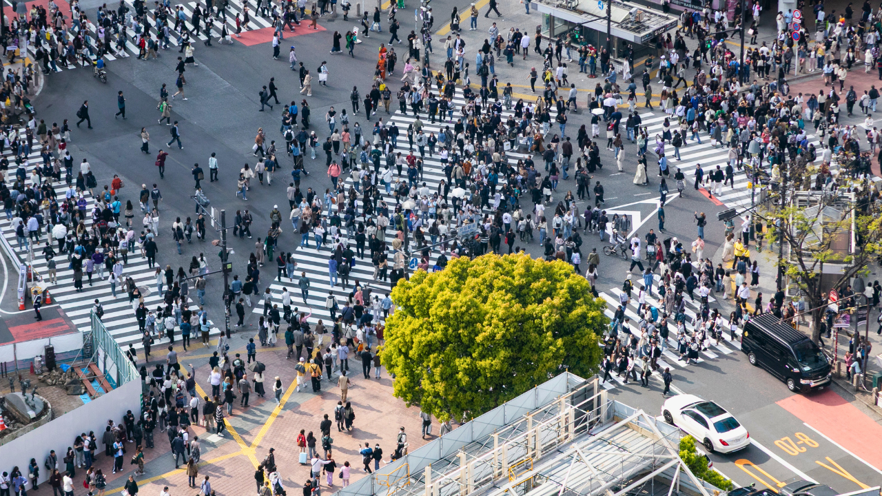 Shibuya Crossing Tokyo – Scramble Crossing Near Shibuya Station