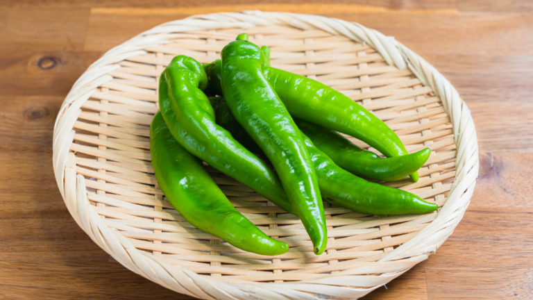 What is Obanzai in Kyoto's Culinary Scene