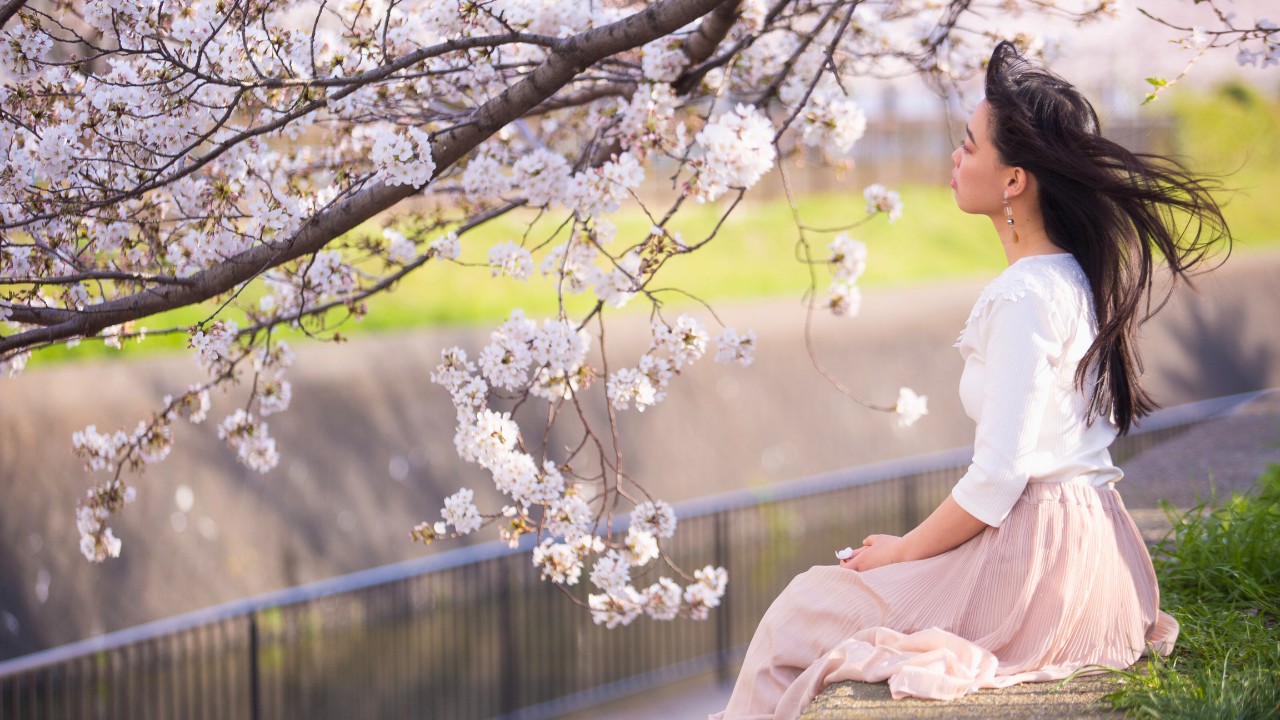 Japan Weather Guide for Travelers