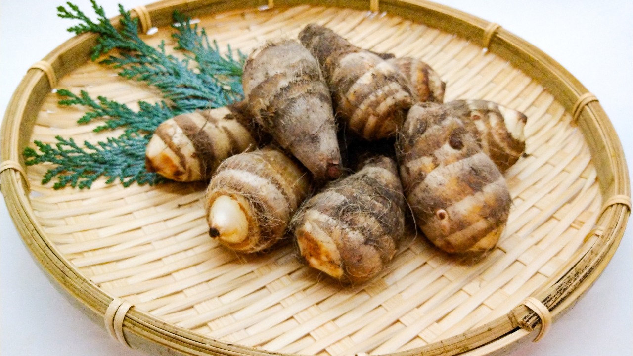 What is Obanzai in Kyoto's Culinary Scene