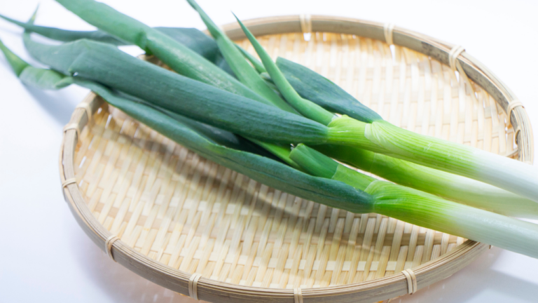 What is Obanzai in Kyoto's Culinary Scene